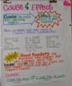 15 Best Cause and Effect Anchor Charts - We Are Teachers