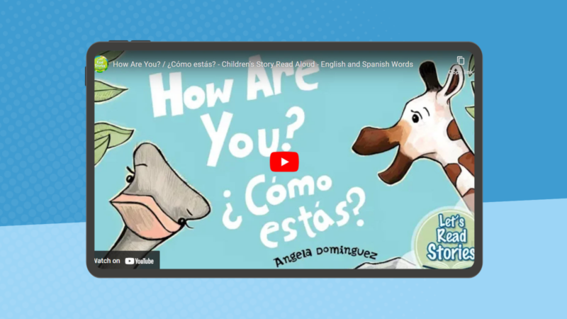 The Big List of Virtual Author Activities for Students