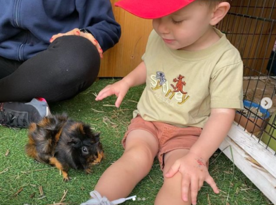 16 Best Classroom Pets, According to Teachers