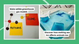 17 Meaningful Climate Change Activities for Kids