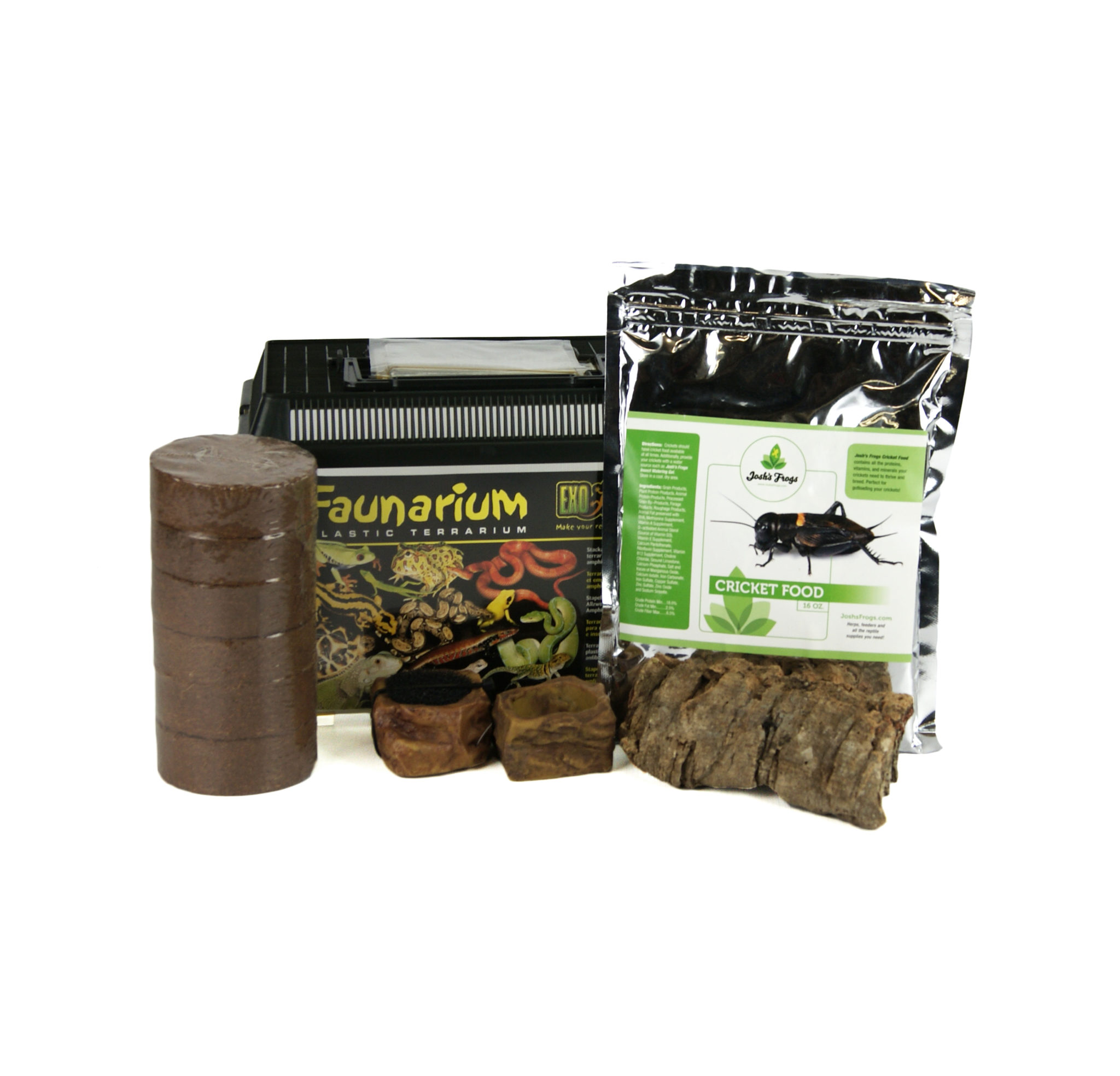 10 Buzz Worthy Creepy Crawly Insect Kits For the Classroom