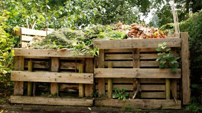 44 Tips for a Green School and Classrooms - WeAreTeachers
