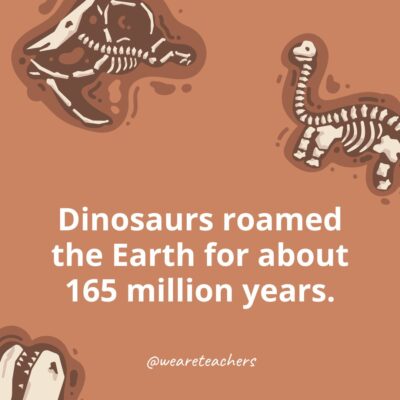 37 Incredible Dinosaur Facts for Kids