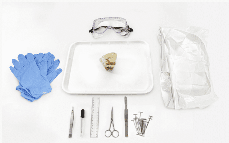 Hands-On Science Kits for Middle and High School