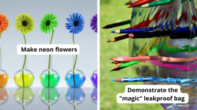 70 Easy Science Experiments Using Materials You Already Have