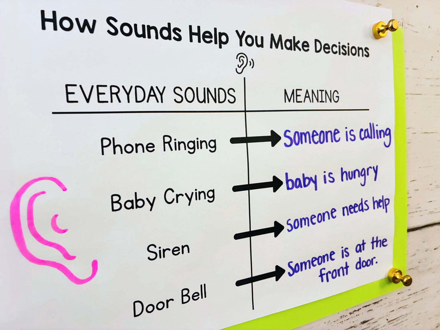 35 Engaging Five Senses Activities Young Learners Love