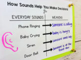 35 Engaging Five Senses Activities Young Learners Love