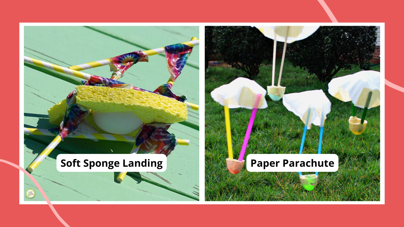 Egg Drop Quotes Egg Drop Quotes