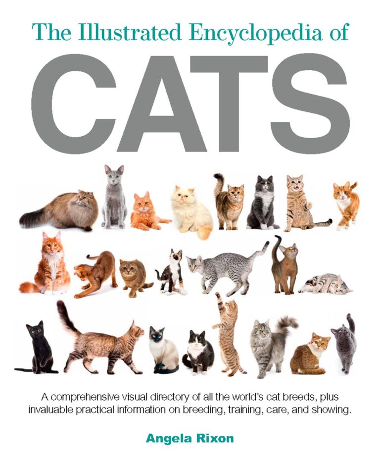 Best Cat Books for Kids, as Recommended by Teachers
