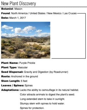 Explore Plant Design and Biomes With This Fun, Interactive Lesson