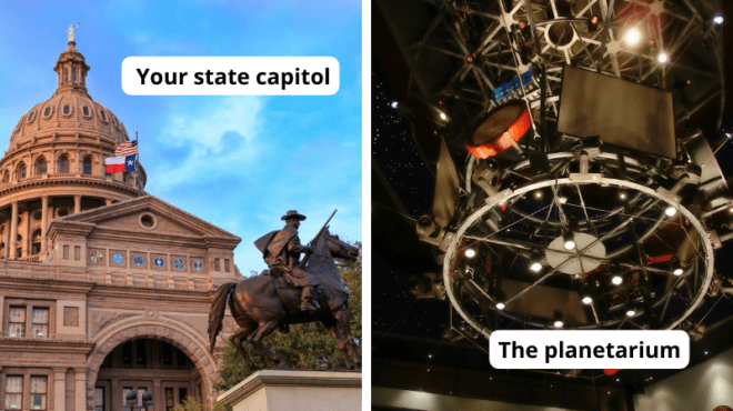 Best Houston Field Trip Ideas - Field Trip Ideas for Houston, Texas