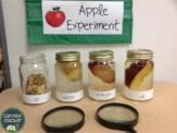 76 Fabulous 1st Grade Science Experiments and Projects To Try