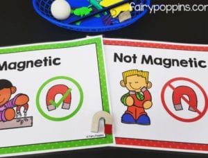 45 1st Grade Science Projects That'll Pique Kids' Interest - Universal ...