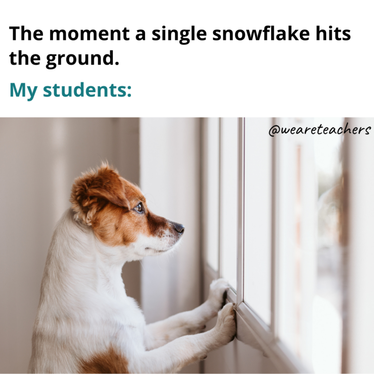 32 Funny School Memes That Are All Too Relatable