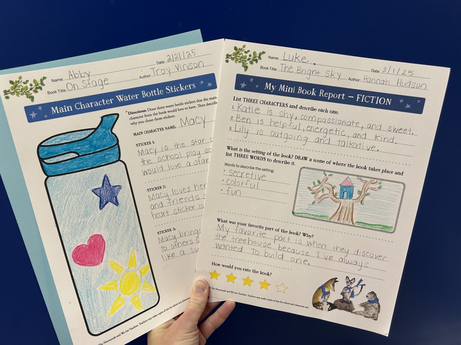 6 Types of Assessments in Education, Plus Examples