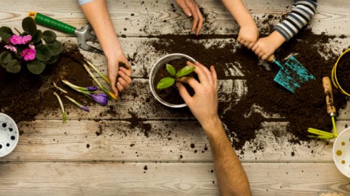Classroom Gardening Ideas, Lessons, Tips, and Tricks - WeAreTeachers