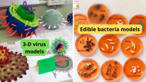 The Best Germ Science Projects and Experiments
