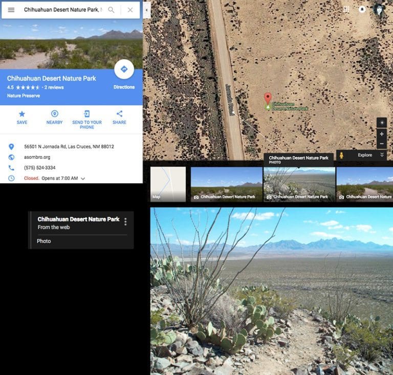 Explore Plant Design and Biomes With This Fun, Interactive Lesson
