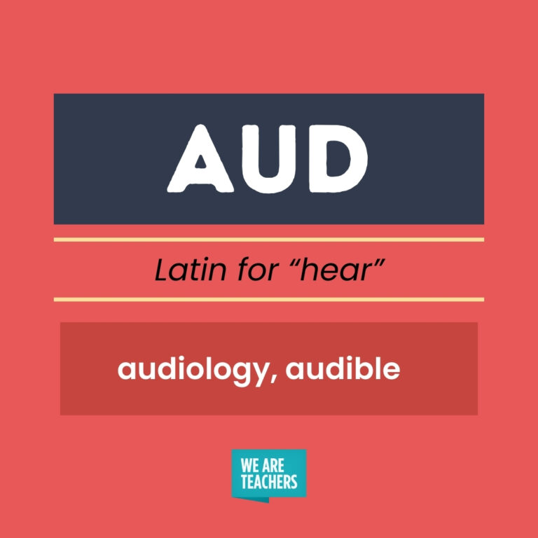 85+ Greek and Latin Root Words To Boost Vocabulary and Spelling