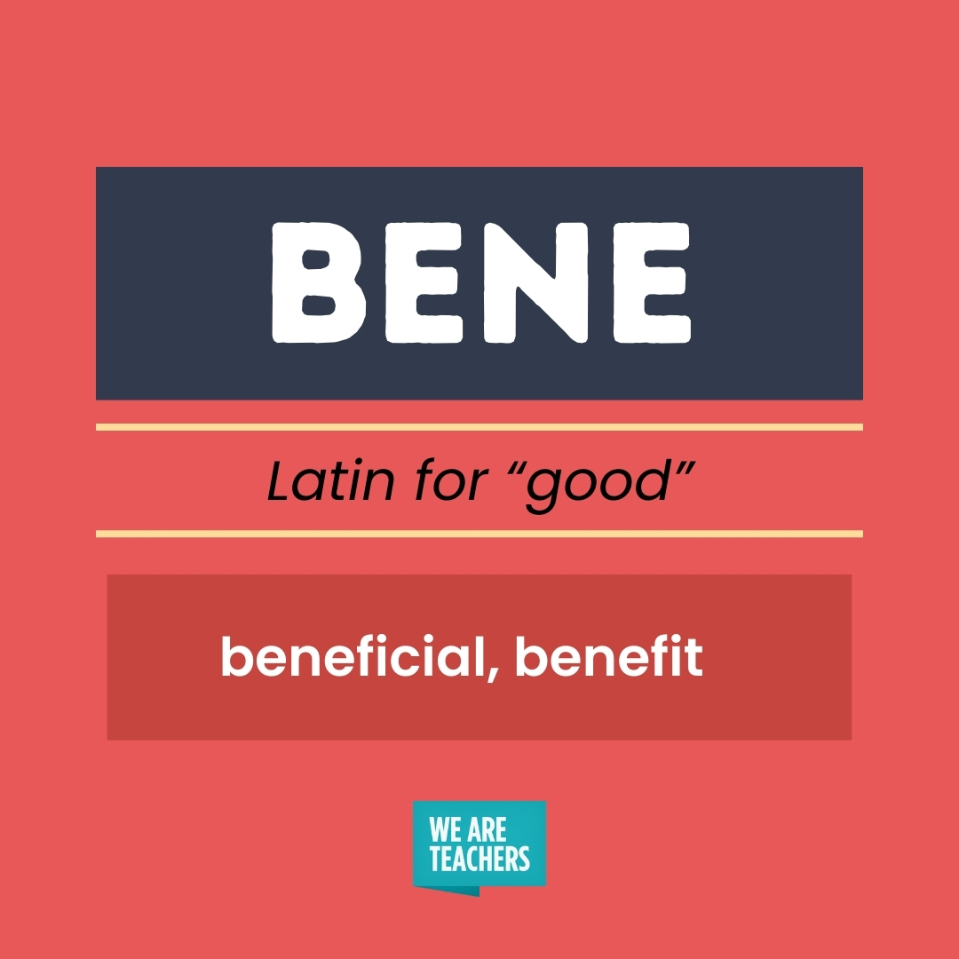 85+ Greek and Latin Root Words To Boost Vocabulary and Spelling