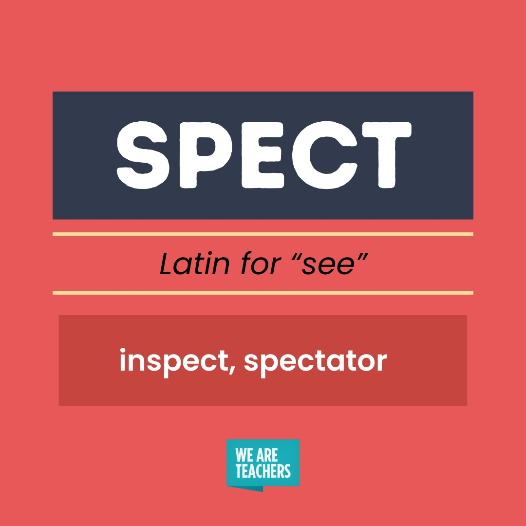 85+ Greek and Latin Root Words To Boost Vocabulary and Spelling