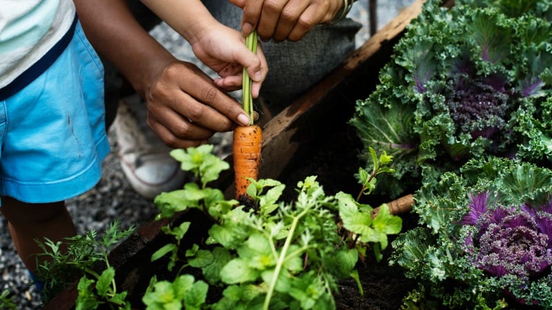 44 Tips for a Green School and Classrooms - WeAreTeachers