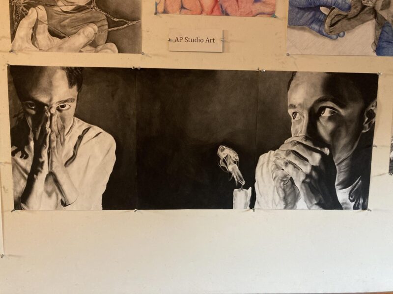 13+ Dazzling AP Art Portfolio Examples (Plus Tips and Advice) - Honct.com