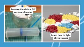 80 Best High School Science Experiments in Every Subject