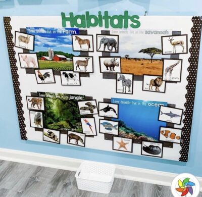 40 Interactive Bulletin Boards To Engage Your Students