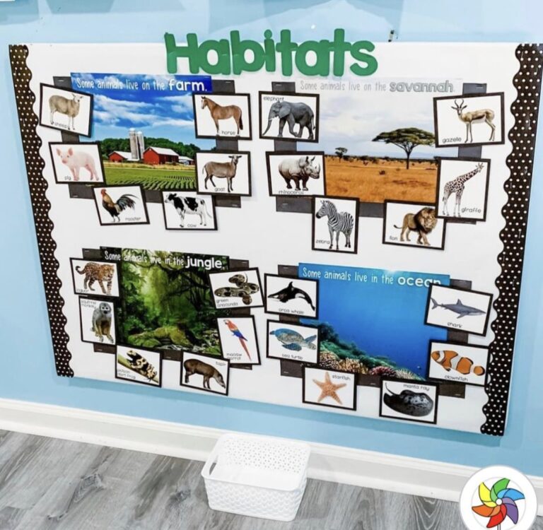 40 Interactive Bulletin Boards To Engage Your Students