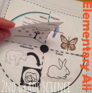 How To Use an Interactive Notebook (Plus 25 Stellar Examples)