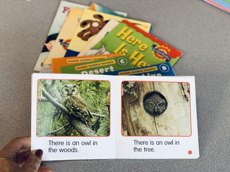 8 Unique Ways To Use Leveled Readers