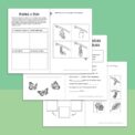 Butterfly Life Cycle Worksheet Bundle (Free Printables)