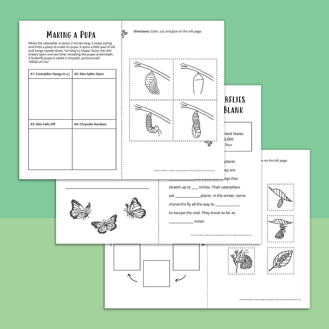 Butterfly Life Cycle Worksheet Bundle (Free Printables)