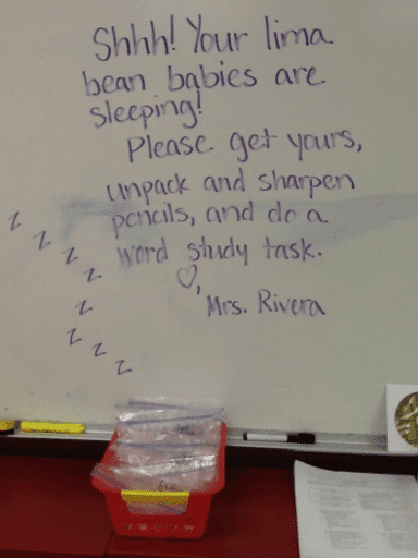 How I Used Beans to Transform Student Behavior - WeAreTeachers