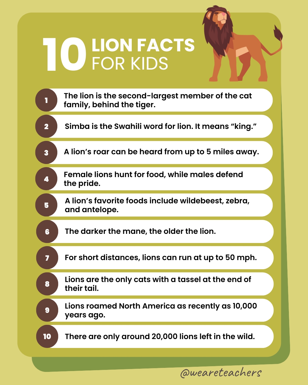 25 Roaringly Fun Facts About Lions