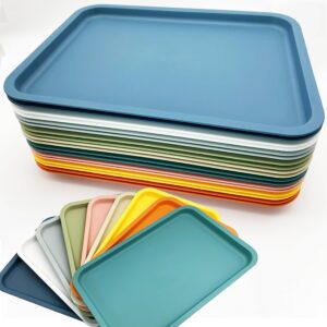 15 Best Lunch Trays for Schools and Where To Buy Them