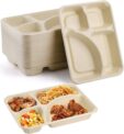 15 Best Lunch Trays for Schools and Where To Buy Them