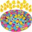25 Fun and Educational Kiddie Pool Games