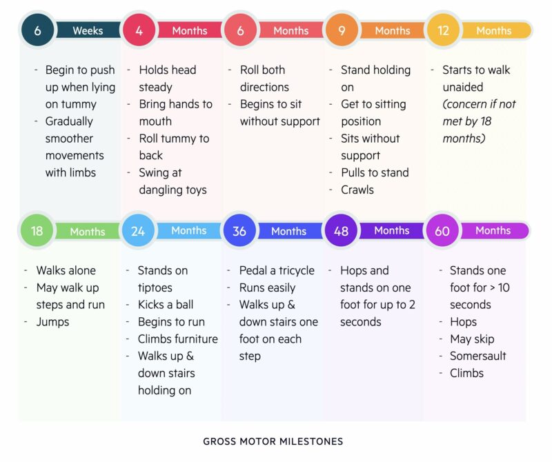 Typical Gross Motor Skills For A 4 Year Old Infoupdate