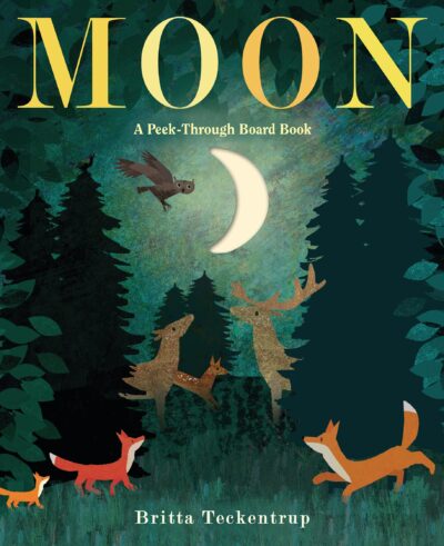 20 Fascinating Children's Books About the Moon