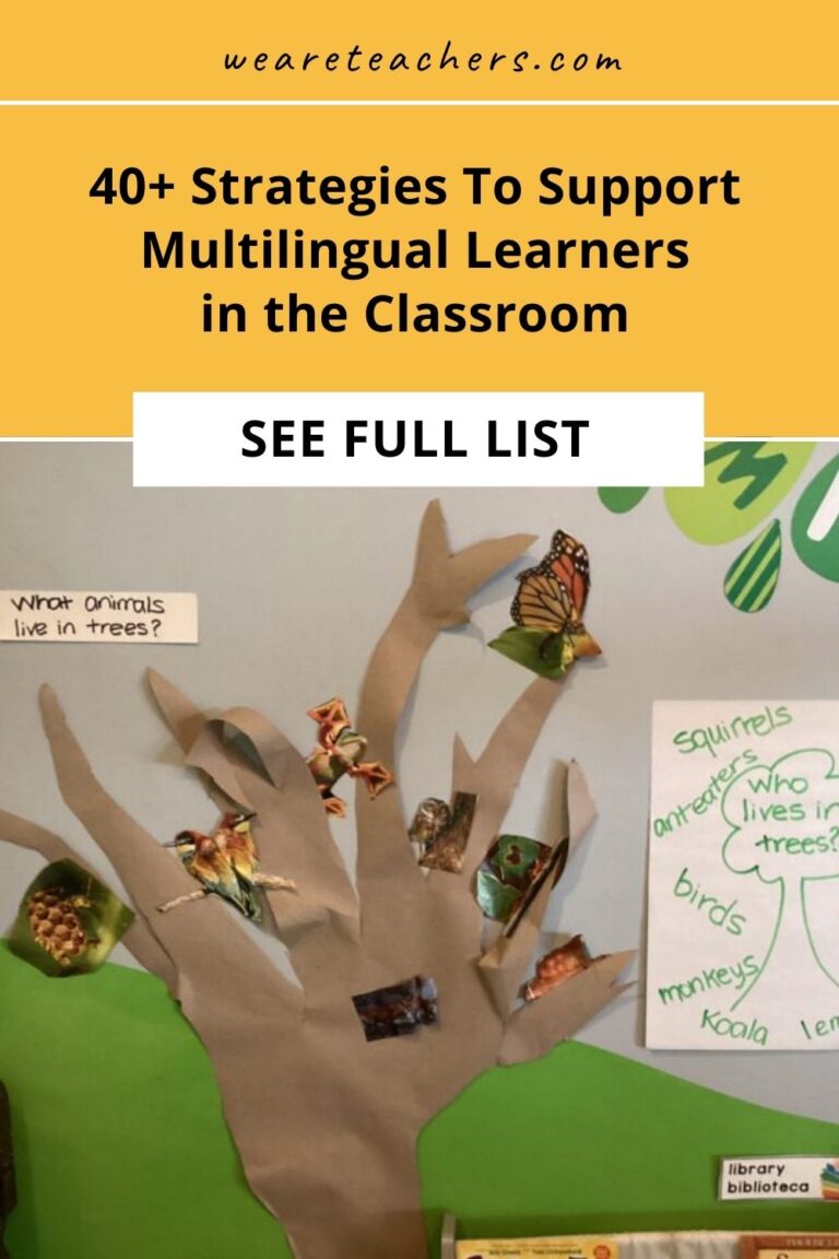40+ Strategies To Support Multilingual Learners (MLLs) at School