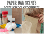 55 Easy Kindergarten Science Experiments for Hands-On Learning
