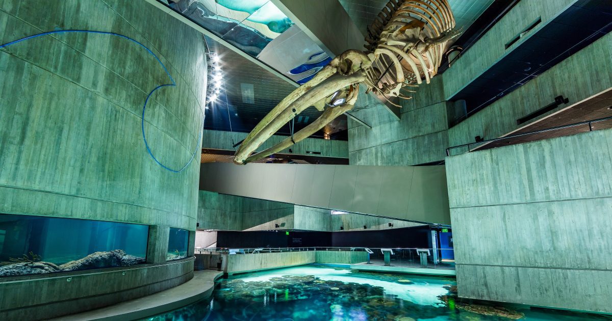 Virtual and In-Person 3rd Grade Field Trips