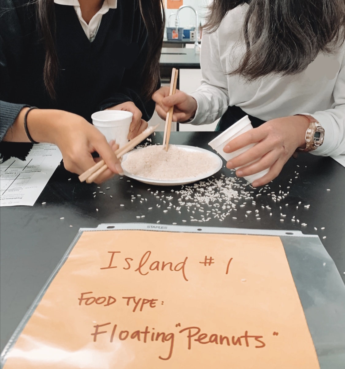 75+ Best Science Fair Ideas for 7th Grade