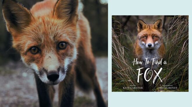 12 Nocturnal Animals Students Should Know