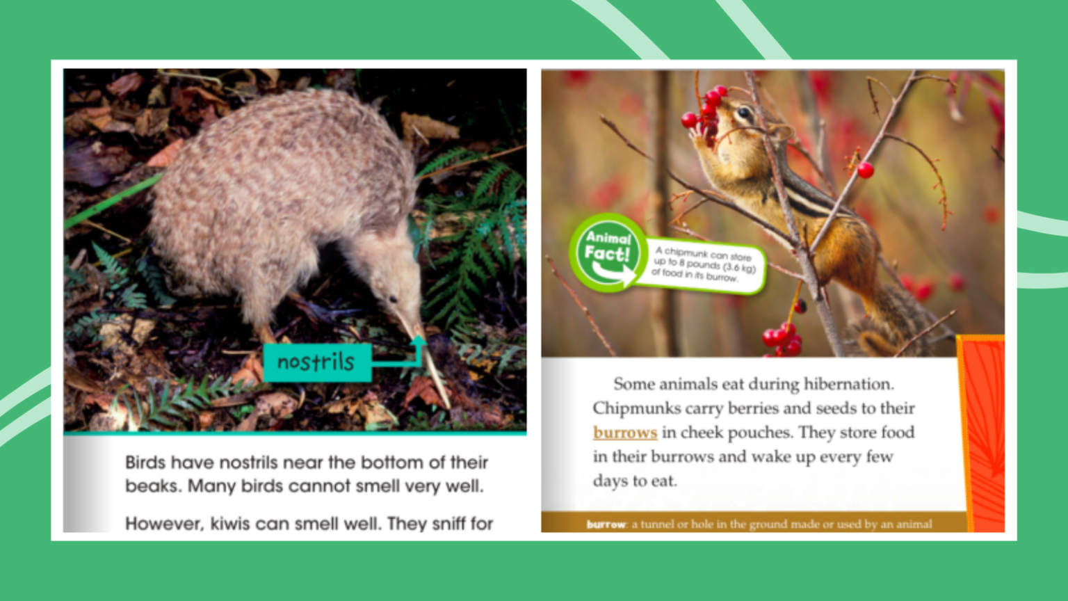 Free Printable: Informational Text Worksheet - We Are Teachers