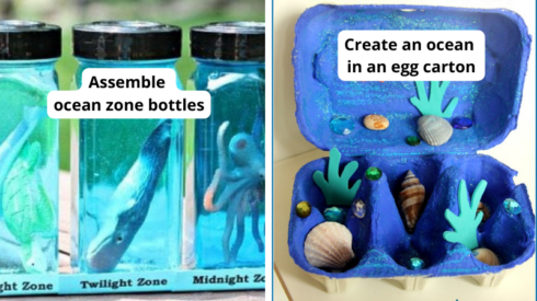 34 Ocean Activities, Experiments, and Crafts for Kids To Dive Into