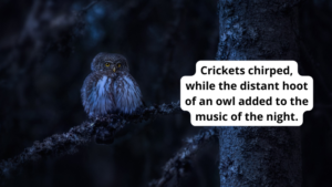 100+ Onomatopoeia Examples To Spice Up Your Writing