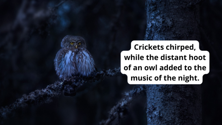 100+ Onomatopoeia Examples To Spice Up Your Writing